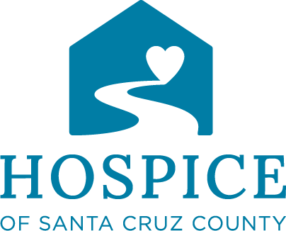 LPC450V Women's V Neck T-Shirt. | HSCC Store.